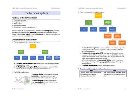 Compendium 8 Introduction To Nervous System Notes Warning Tt Undefined Function 32 Warning