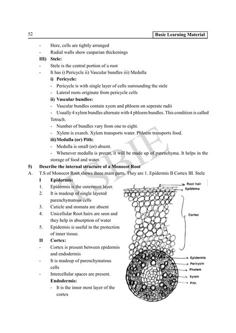 Ts Scert Inter 1st Year Botany Path 1 English Medium Text Book Indcareer Docs