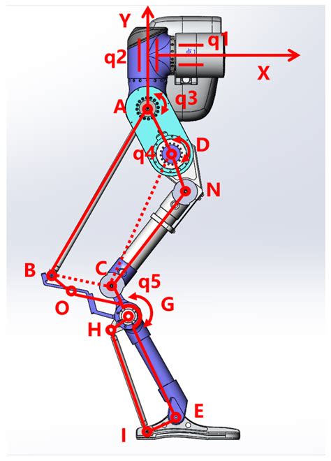 Leg Configuration Analysis And Prototype Design Of Biped Robot Based On Spring Mass Model