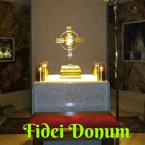 Fidei Donum