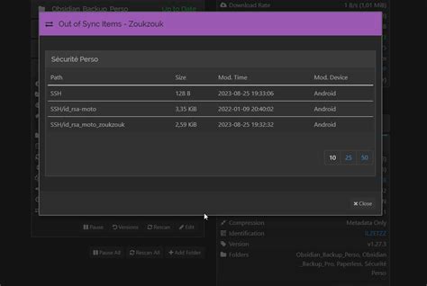 Out Of Sync Items With Ignore Patterns Support Syncthing Community Forum