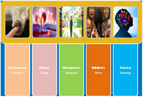 МОДЕЛЬ Sibam КРАТКИЙ ОБЗОР Psy