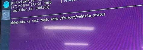 Unable To Ros2 Topic Echo Specific Topics Px4 Autopilot Discussion Forum For Px4 Pixhawk