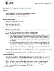 Genital Assessment Lab Guide Docx NURS 201 Foundations Lab Week 3 Labs Lab Name Male And