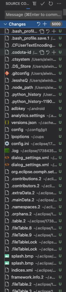 Visual Studio Code Source Control Full Of Changes I Was Not Aware Of Stack Overflow