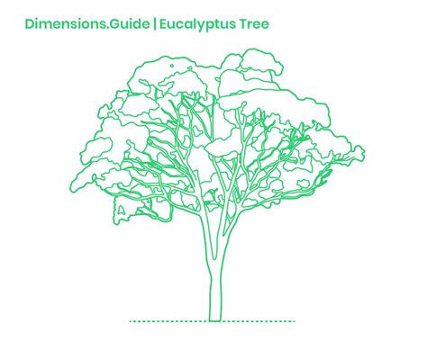 Trees Dimensions And Drawings