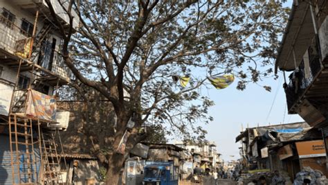 The Sabarmati Story A River Is More Than A Usable Resource Question