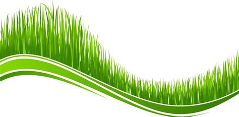 Green Grass Lawn Wave Isolated On White Floral Eco