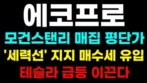 에코프로 테슬라 급등 모건스탠리도 도와 주네요 이제 바닥 찍고 이렇게 움직일 겁니다 에코프로 에코프로대응 Youtube