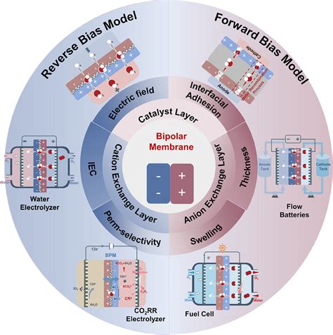 Review On High‐performance Polymeric Bipolar Membrane Design And Novel