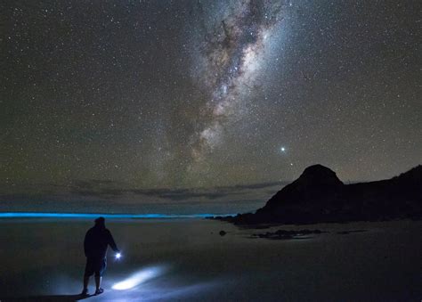Біолюмінесценція на фотографіях так вона виглядає в нічному морі Нової Зеландії Infobae