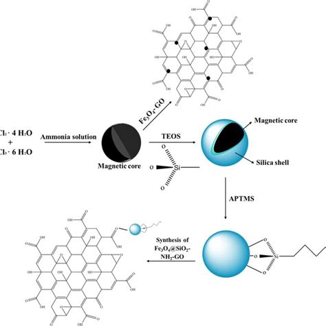 Schematic Of Synthesis Process Of Fe3O4 GO And Fe3O4 SiO2 NH2 GO