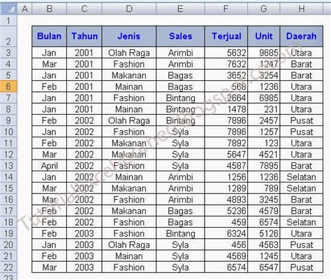 Cara Membuat Laporan Dengan Auto Filter Di Excel Tutorialexcel Borneo