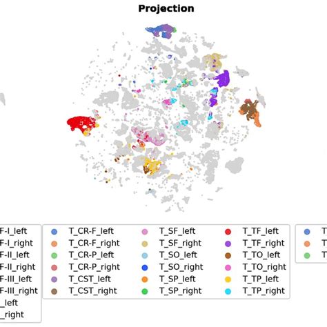 Latent Space Learned By Vf Iz Each Point Corresponds To A Streamline