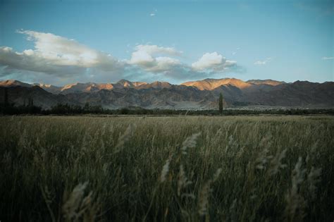 Phasmophobiawallpaper Photos Download The Best Free Phasmophobia