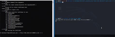 gopurple yet another shellcode runner consists of different