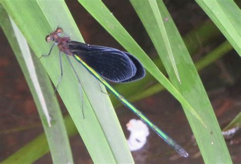 Sparse Dense By Foyo 8月 2020