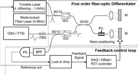 Schematic Of The First Order Differentiation Experiment Incorporating Download Scientific
