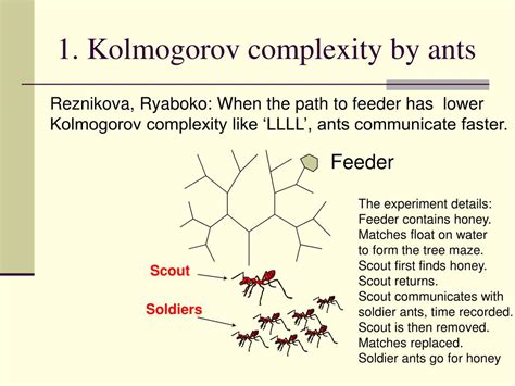 Ppt Lecture 8 Kolmogorov Complexity And Nature Powerpoint