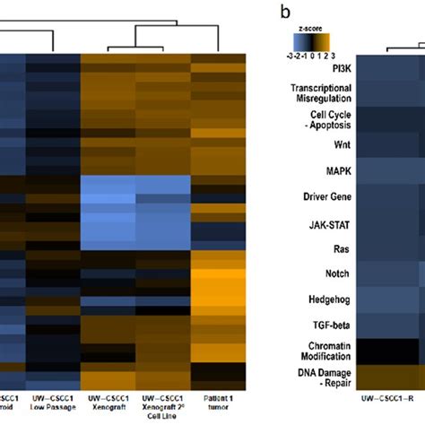 Cancer Gene Expression Analysis A Ncounter Pancancer Progression And Download Scientific