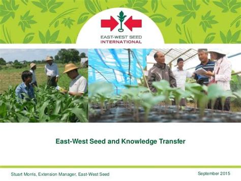 iseed malaysia vegetable and flower seeds gardening and planting products