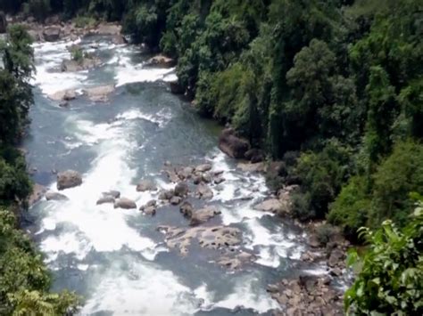 Travel To The Home Of Pulimurugan Which Is An Abode For Wild Elephants