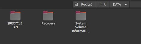 Mounting A Ntfs Partition Rubuntu