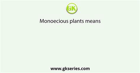 Monoecious Plants Means