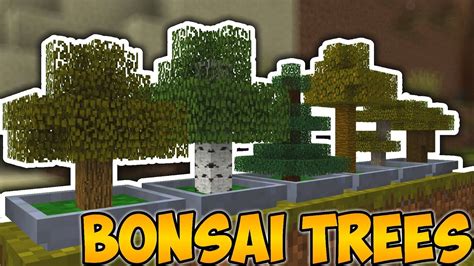 Minecraft Java Tiny Trees Bonsai Trees Mod Showcase Vanilla Only Youtube