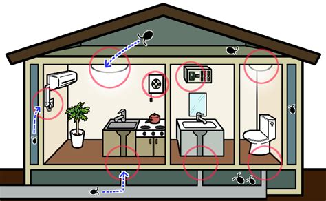 防除侵入経路遮断のご紹介 ゴキブリ駆除対策の専門業者害虫獣SOS