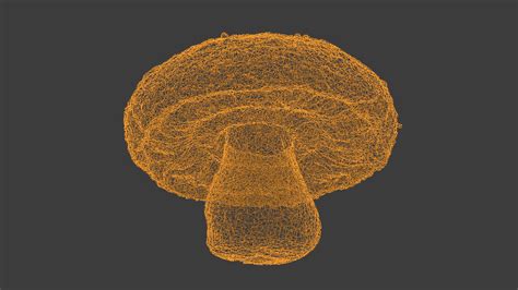 Rare Orange Pore Mushroom 3d Model Turbosquid 2315323