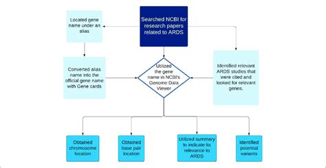Diagram Showing The Workflow Steps Data Collection And Primary