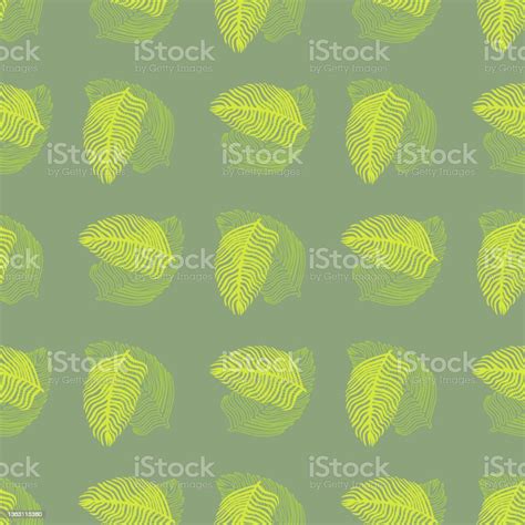 손으로 그린 단풍 프린트가 있는 추상적인 야자수 잎 매끄러운 패턴 간단한 정글 배경 계절직물 프린트벡터 일러스트레이션 0명에 대한 스톡 벡터 아트 및 기타 이미지 Istock