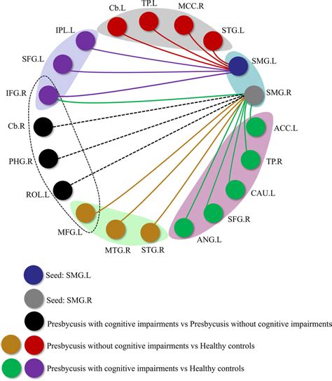 Overview Of Functional Connectome Using Left And Right Smg As Seeds Download Scientific Diagram