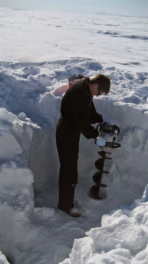 Arctic Bacteria Show Long Evolution In Toxic Mercury Resistance