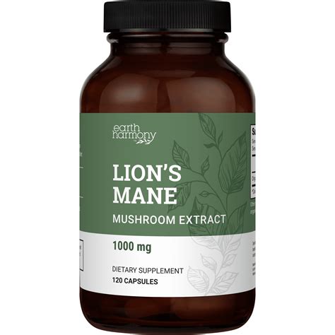 Lions Mane Mushroom Supplement 1000 Mg Lions Mane Extract 120