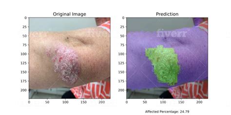 Do Image Classification Segmentation And Object Detection By Haroonshakeel