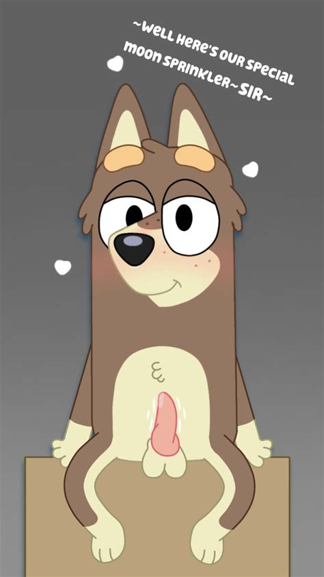 Rule 34 Alfie Bluey Anthro Bluey Series Blueydingo Hi Res Male Malemale Solo 7098582