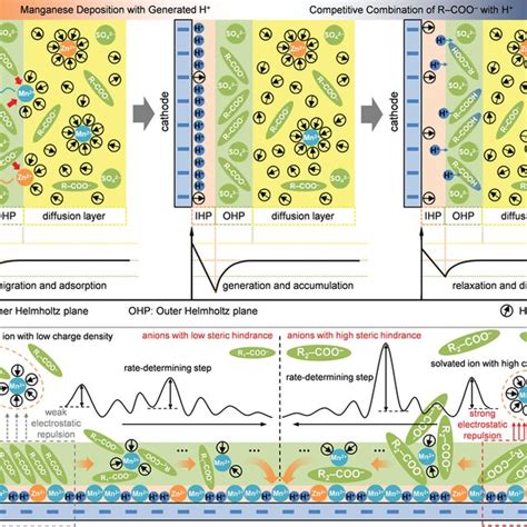 Evolution Of Electric Double Layer Model At The Cathodeelectrolyte