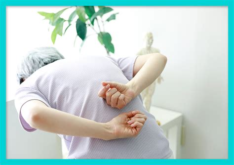 김장철 맞아 척추압박골절 주의해야 건강검진정보 김장철 맞아 척추압박골절 주의해야 건강검진정보