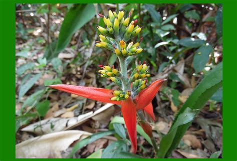 Direct Part Marking Dpm And Data Matrix Codes