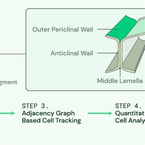 Workflow Of Proposed Method Modified From⁴ Given A Sequence Of 3d