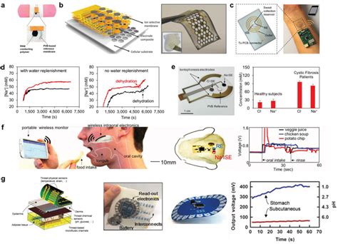 Flexible Potentiometric Ion‐selective Sensors For Detection Of Ions In Download Scientific
