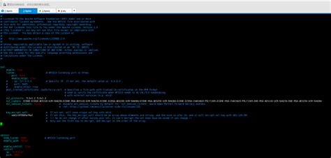 如何绑定ssl证书 How To Bind Ssl Certificates · Issue 9731 · Apacheapisix · Github