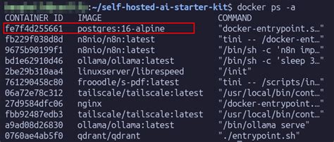 Self Hosted Ai Starter Kit Error Message Mismatching Encryption Keys