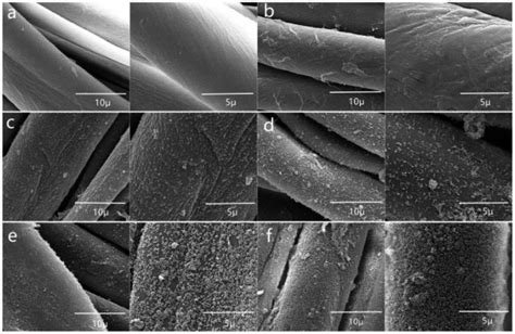The Sem Images With Rgo Sp Composites Modified Cf A F Were As Download Scientific Diagram