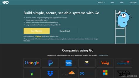 编程笔记 Golang基础 003 Go语言开发环境搭建 阿里云开发者社区