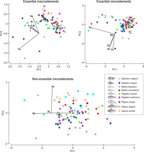 Principal Component Analysis Pca Plots Based On The Concentrations Of