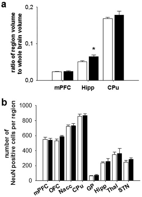 Structural Analysis A Volumes Of The Medial Prefrontal Cortex