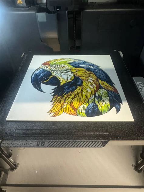 Hueforge Macaw Parrot Color Aware By Diegomiore Makerworld